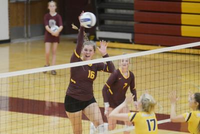 Larson, Hillsdale volleyball aiming to return to top of national ...