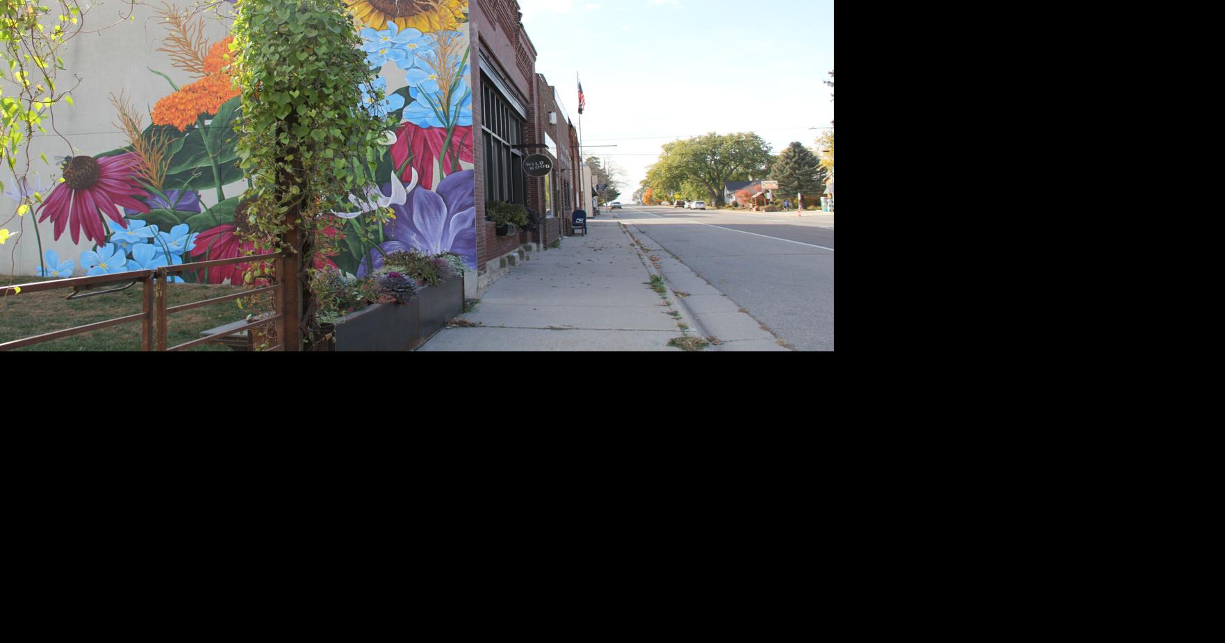 A wildflower mural blooms in Nerstrand | Community | southernminn.com