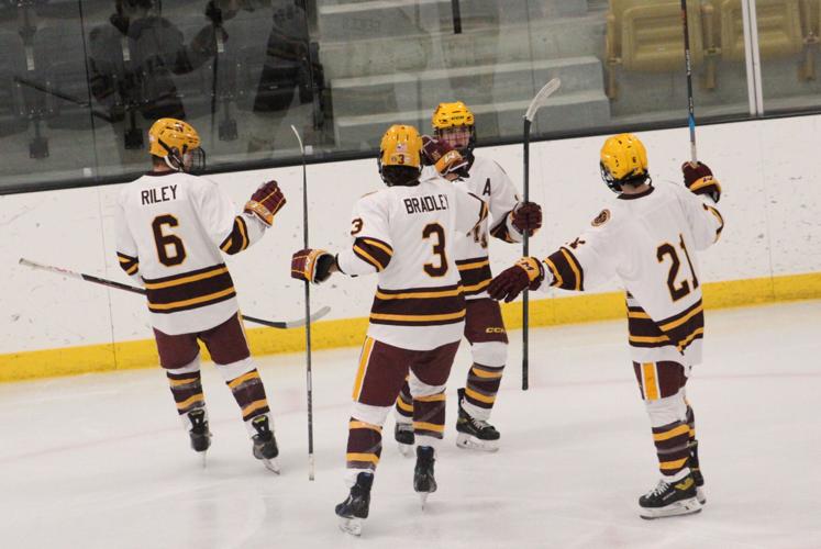 NHS boys hockey completes weekend sweep | Sports | southernminn.com