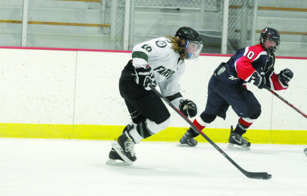 Four girls register two points in Faribault girls hockey’s win over ...