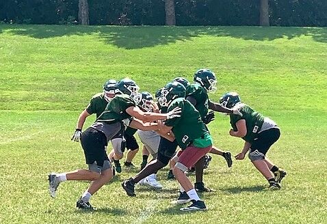 Falcons seniors hopeful for 2022 season | Sports | southernminn.com