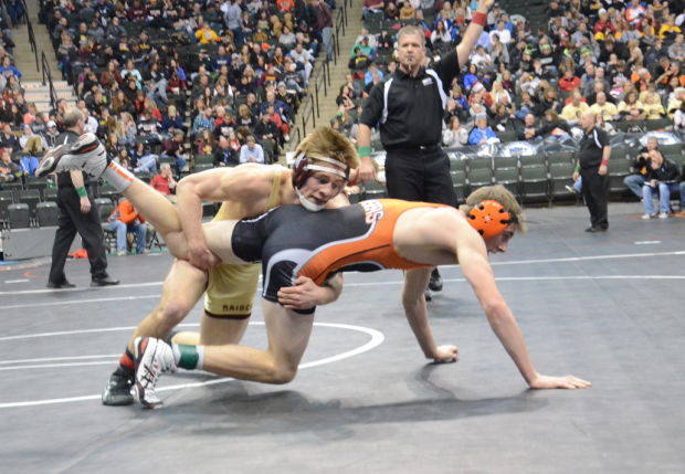 Northfied's Canedy advances to state wrestling semifinals, Minske falls ...