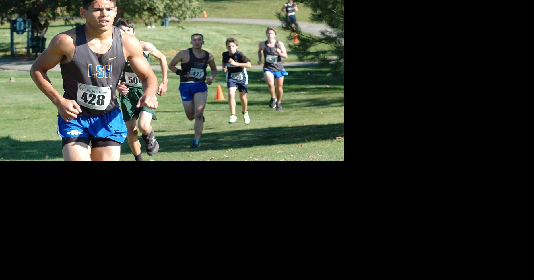 Cleveland's Tyler Erickson runs 4th in Section 2A boys cross country ...