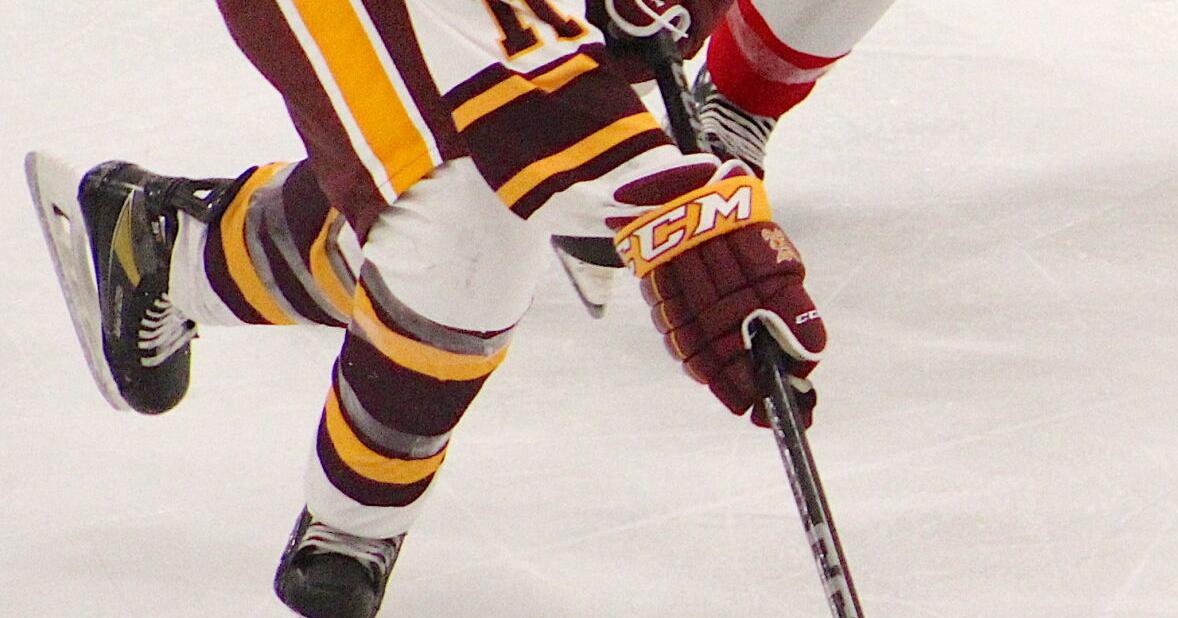 NHS boys hockey completes weekend sweep | Sports | southernminn.com