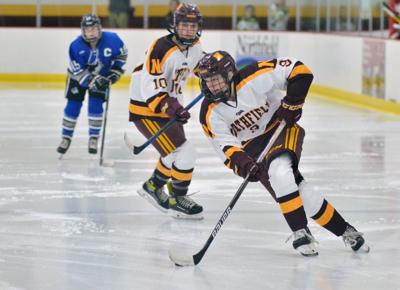 Northfield earns No. 2 seed in Section 1AA girls hockey bracket ...