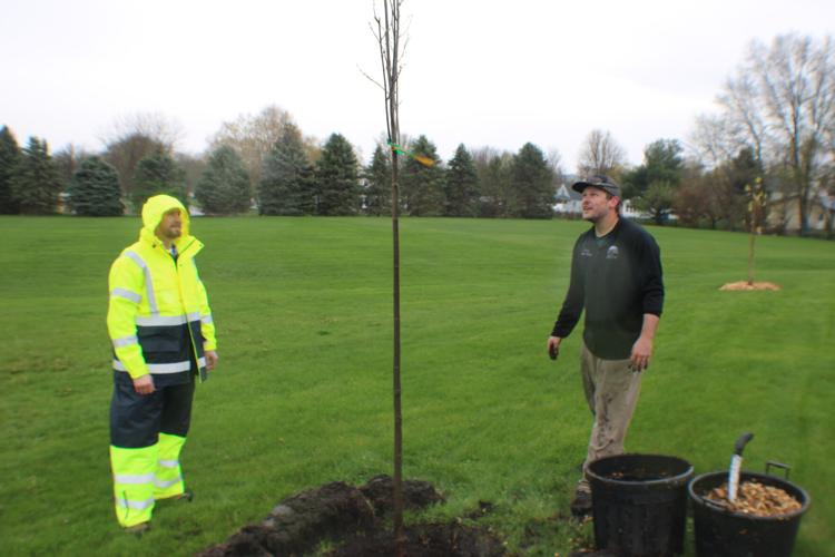 St. Peter celebrates Arbor Day with tree planting | News | southernminn.com