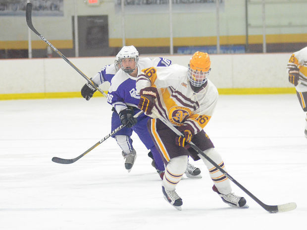 Boys hockey: Northfield gets past Red Wing | Sports | southernminn.com