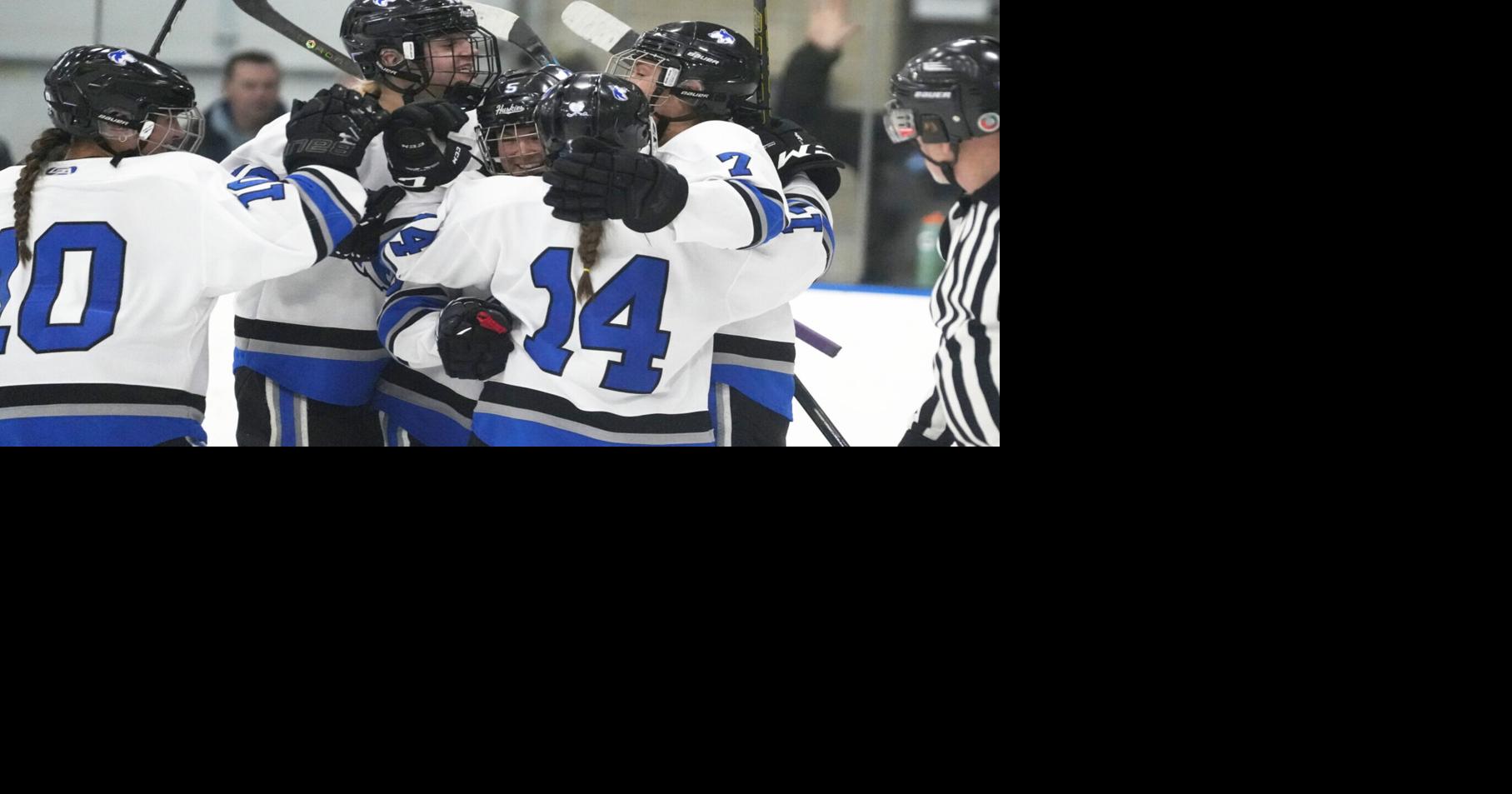 Huskies score 3 goals in 3rd period in comeback victory over Mankato ...