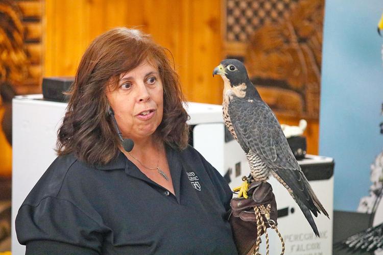 Birds of prey, exotic animals educate fairgoers inside the GOC | News ...