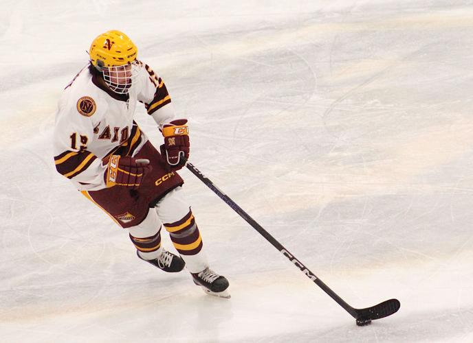 NHS boys hockey completes weekend sweep | Sports | southernminn.com