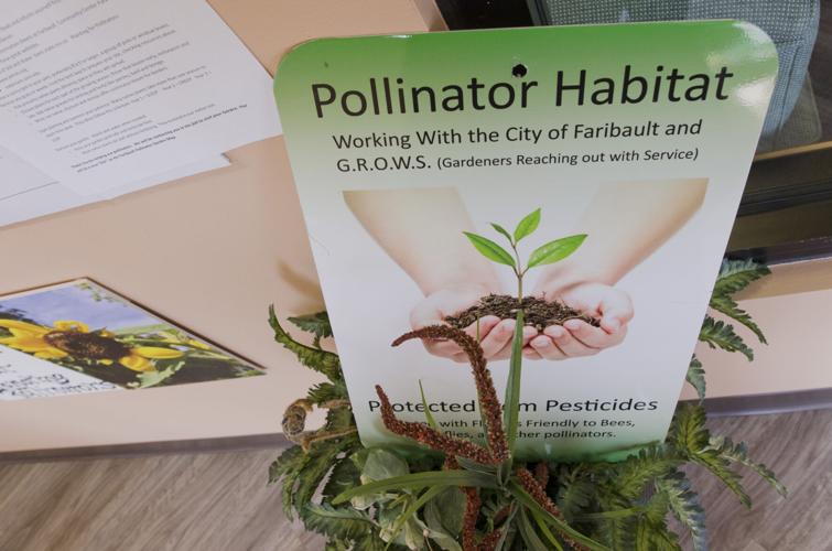 Exhibit illustrates how to help pollinators | News | southernminn.com