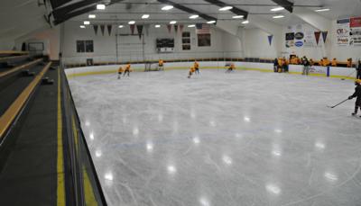 New, two-sheet ice arena gets backing from advisory board | News ...