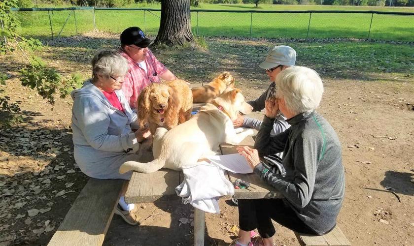 St. Peter K-9 lovers lead effort to establish new dog park outside of ...