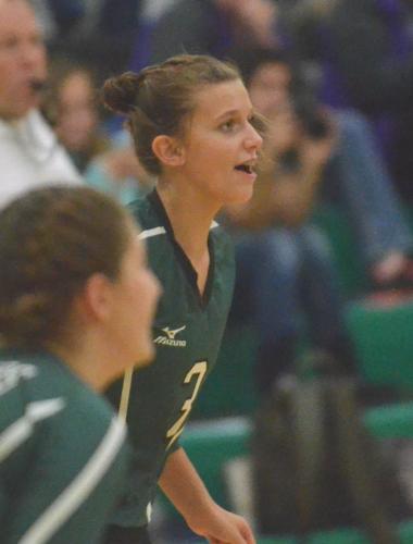 BA, WEM athletes earn all-Gopher Conference honors | Sports ...