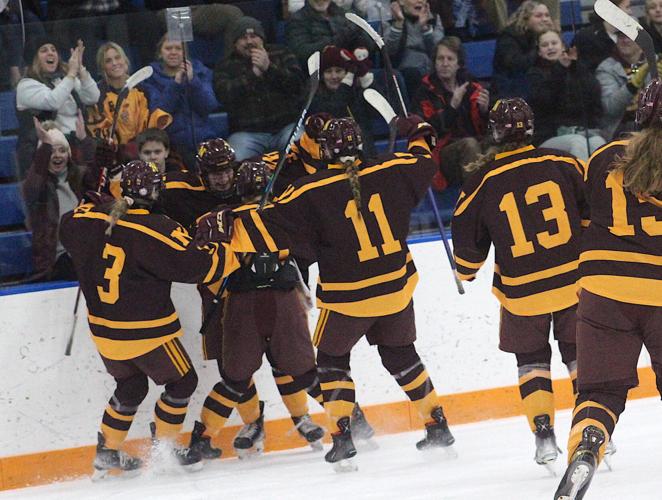 Northfield finishes season with section championship loss | Sports ...