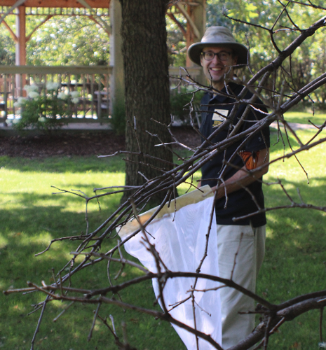 Gustavus Arboretum takes public on a monarch safari | News ...