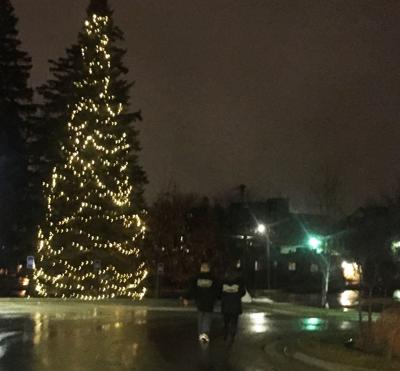 Hospice Memory Tree commemorates deceased loved ones | News ...