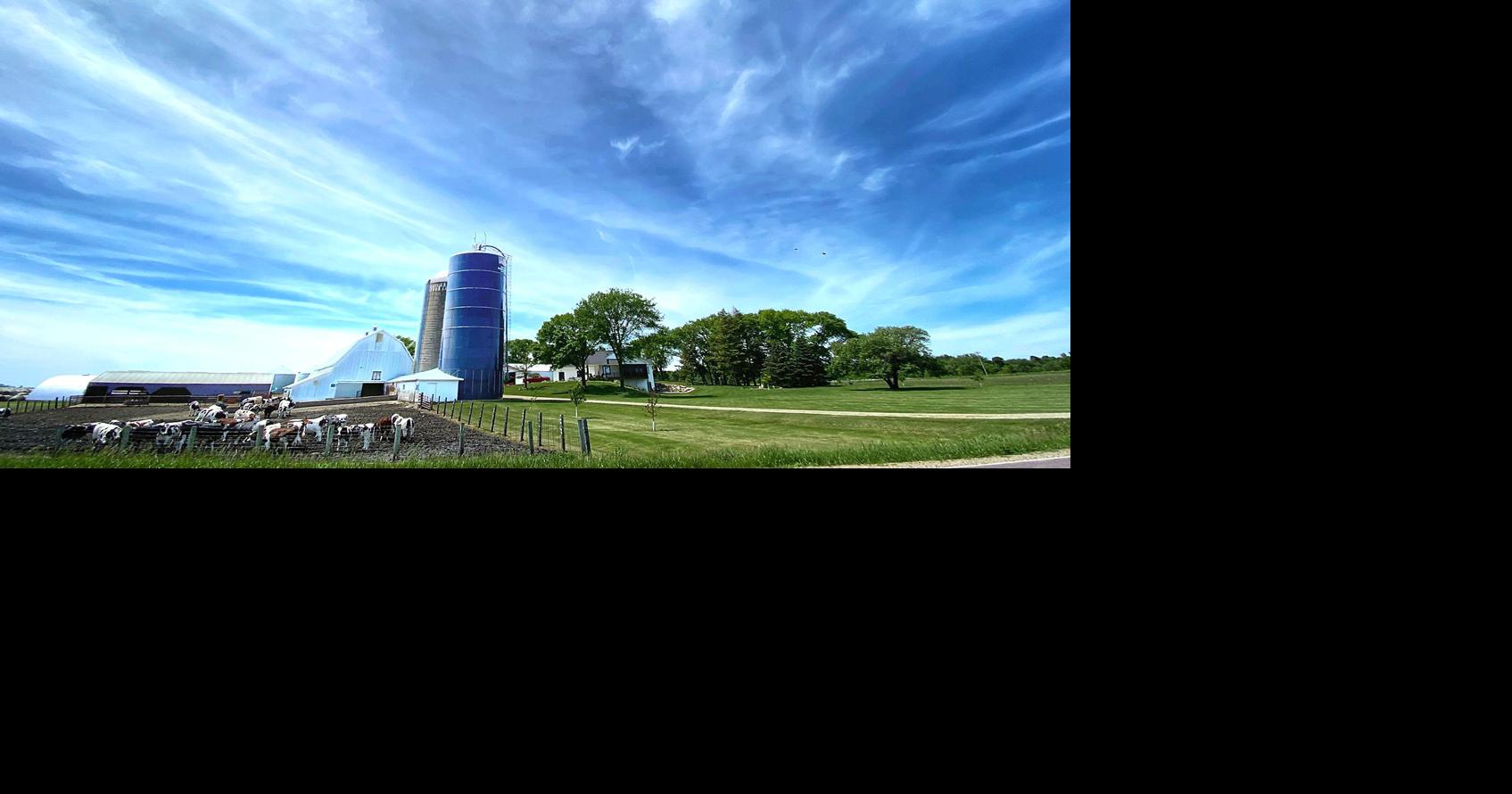 CENTURY FARM: A love of farming keeps Murphy family farm going for 150 ...
