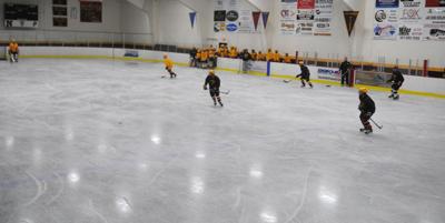 Consultant presents building study on Northfield Ice Arena | News ...