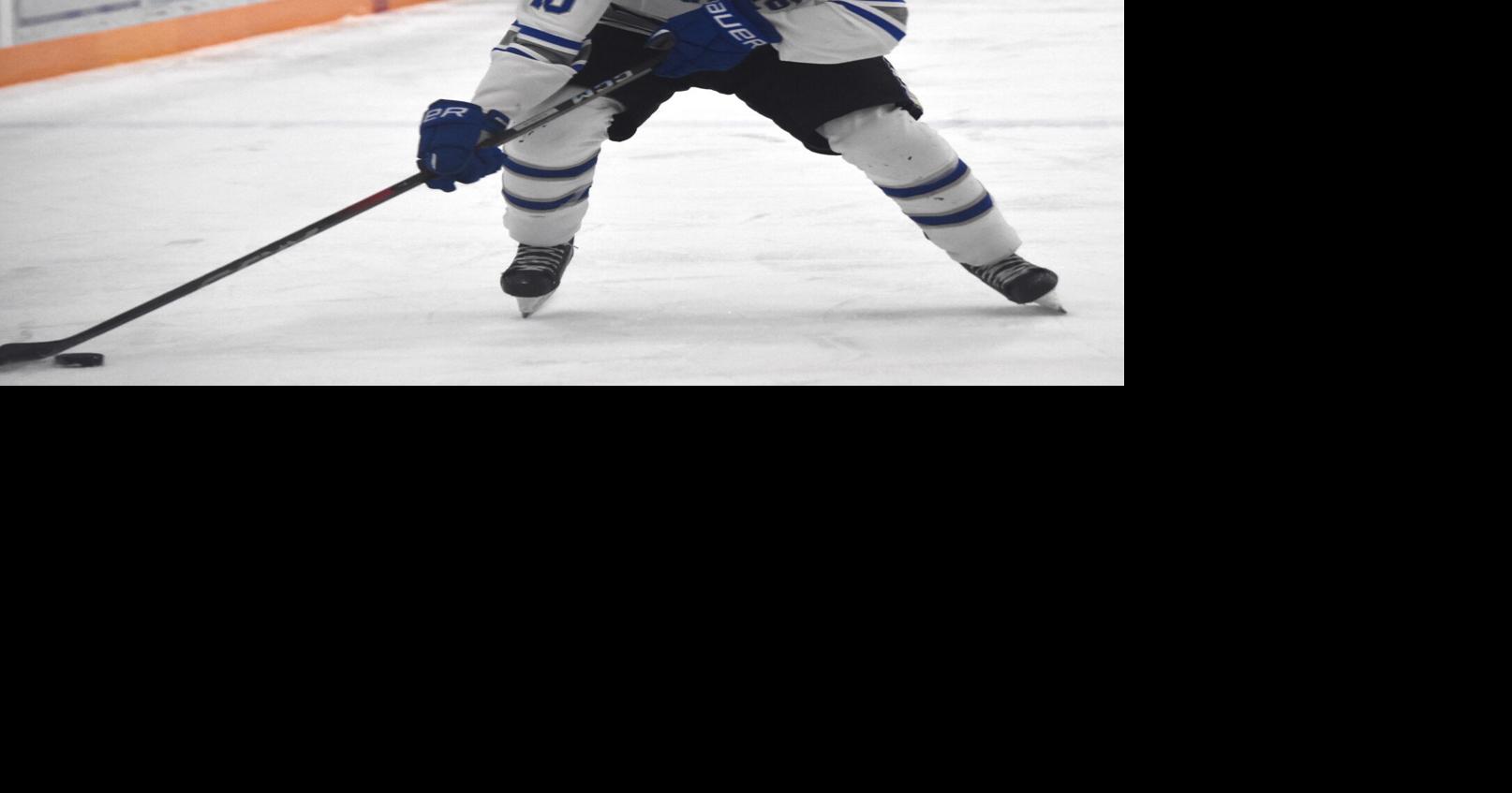 Huskies' season ends after losing to panthers 3-2 in section ...