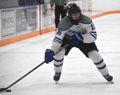 Huskies' season ends after losing to panthers 3-2 in section ...