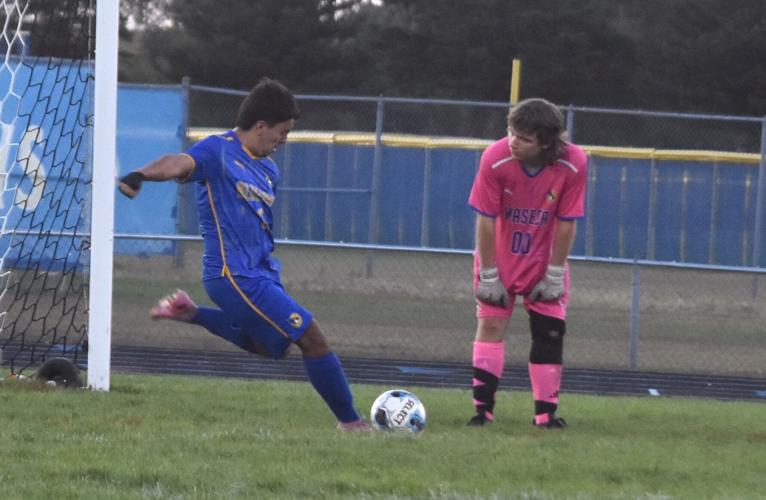 Bluejays score first against Saints but fall 4-2 at home | Sports ...