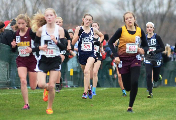 Dimler reaches goals at state meet, earns top 100 finish | Sports ...