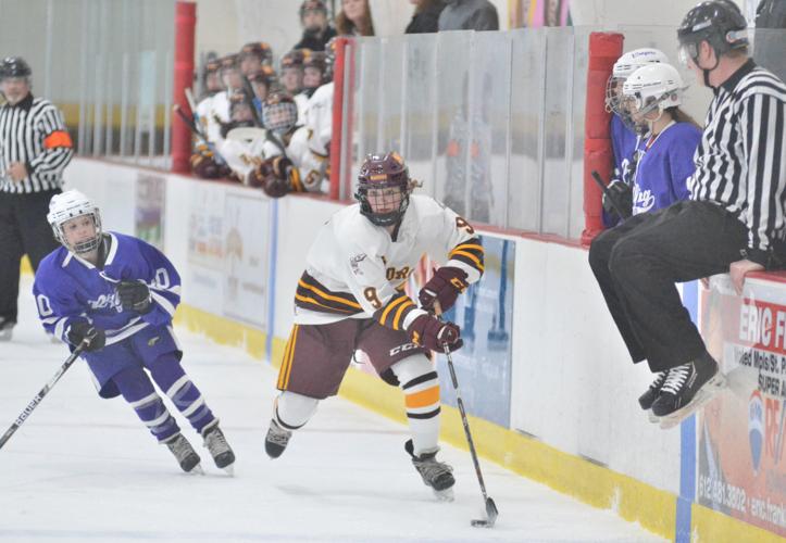 Stanchina's pestiness, goal-scoring instincts powering Northfield girls ...