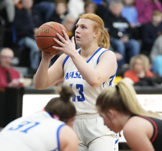 No. 2 NRHEG holds off No. 7 Waseca in Sub-Section quarterfinals ...