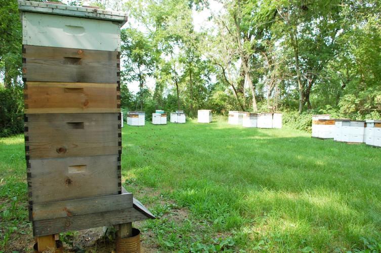 Historic apiary awarded funds to restore buildings, educate community ...