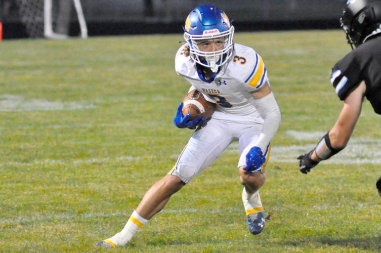 FALL SPORTS GUIDE: Waseca Football | Sports | southernminn.com