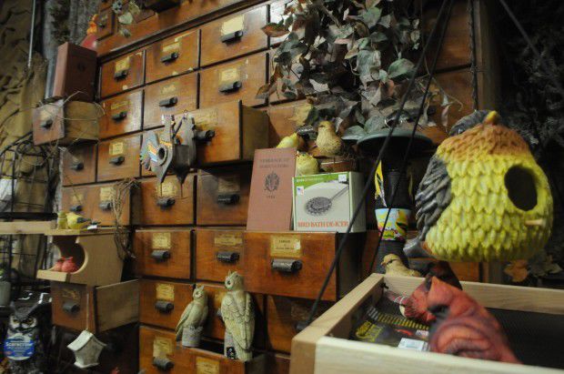 Farmer Seed and Nursery celebrates 125 years in Faribault | Business ...