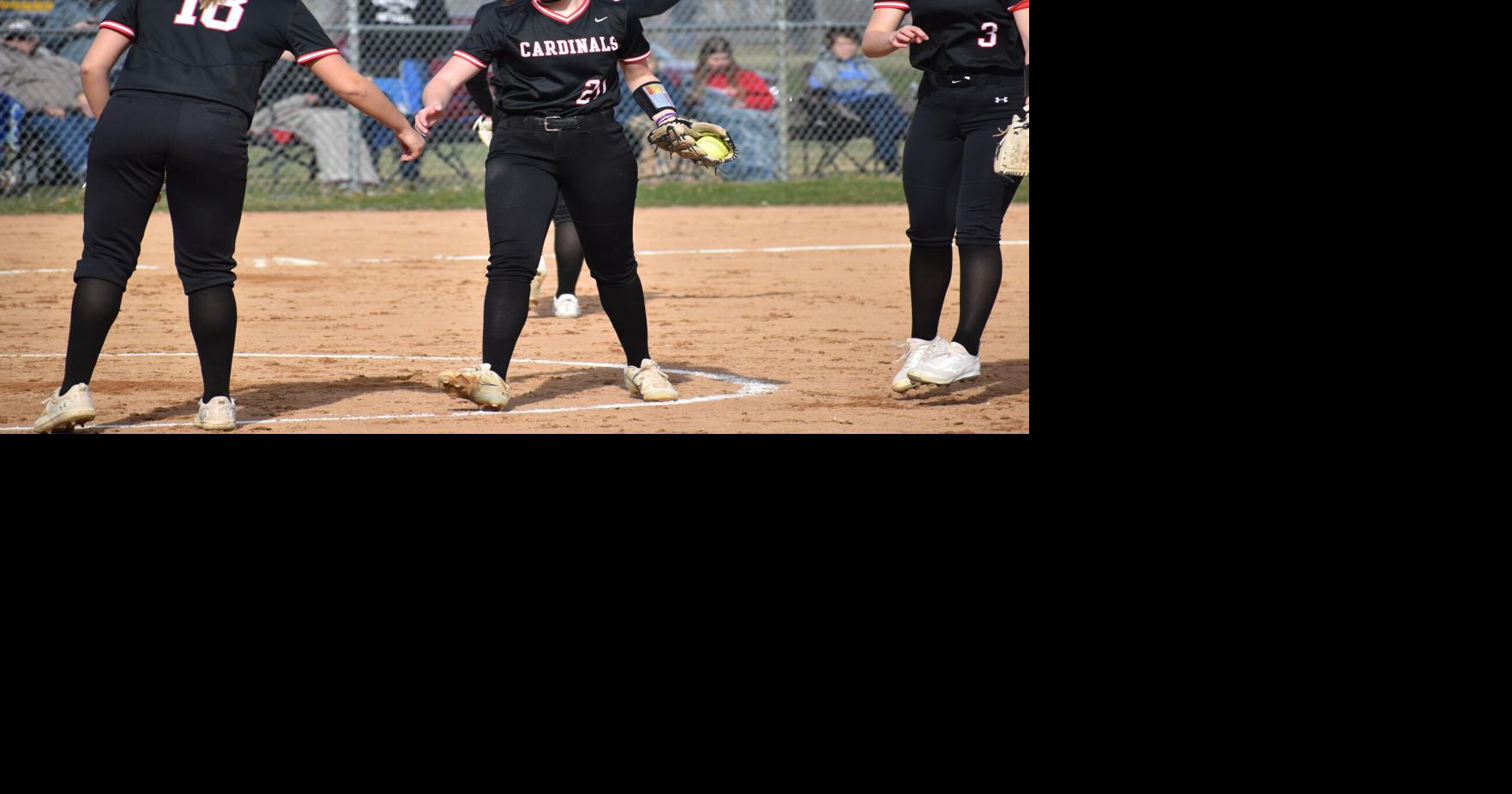BA's Wilson powers Cardinals to 1-hit road shutout over NRHEG | Sports ...