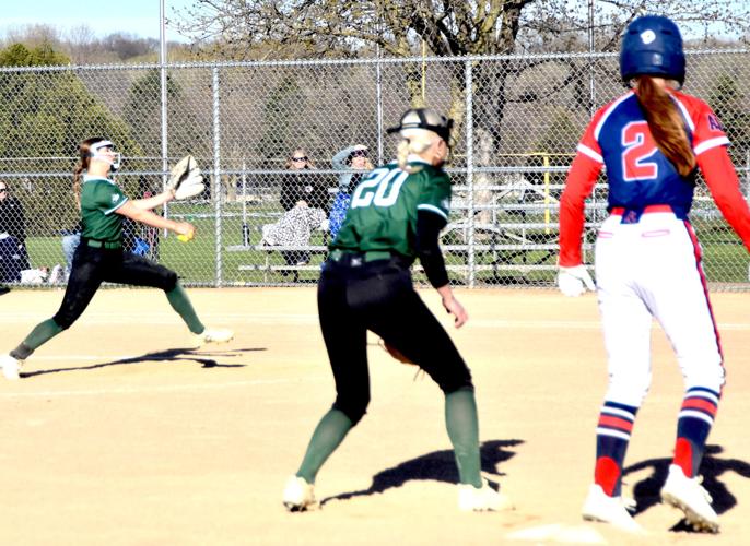 Falcons fly in win over Tigers | Sports | southernminn.com