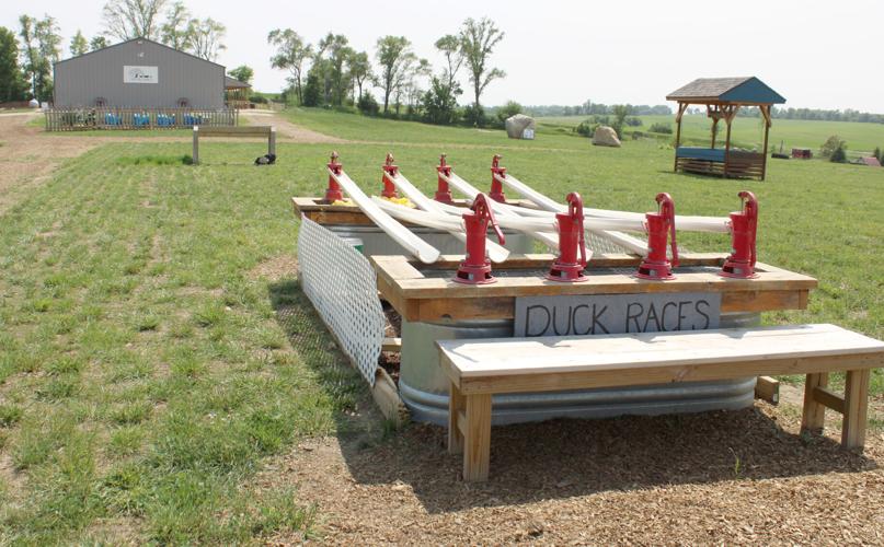 A year in, Windy Willow bridges rural-urban disconnect | News ...