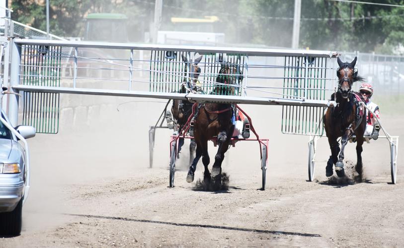 PHOTOS: Harness racing continues as longest standing grandstand ...