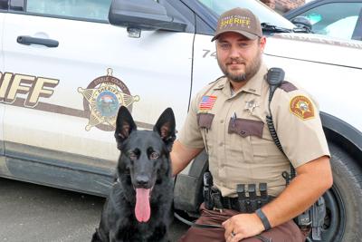 Sheriff’s Office revitalizes K-9 program through community support ...
