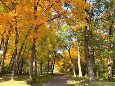 PARK AND REC: Enjoying autumn with your Owatonna Parks and Trails ...