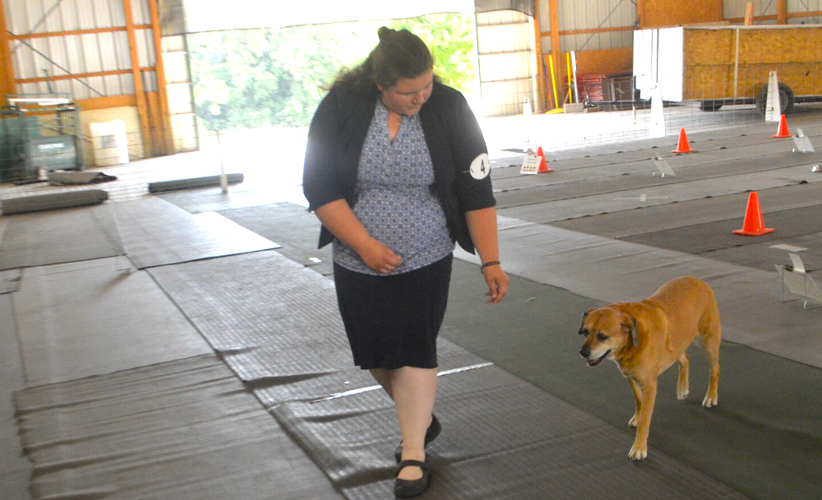 Le Sueur County 4-H Dog Show brings canines and competitors | News | southernminn.com