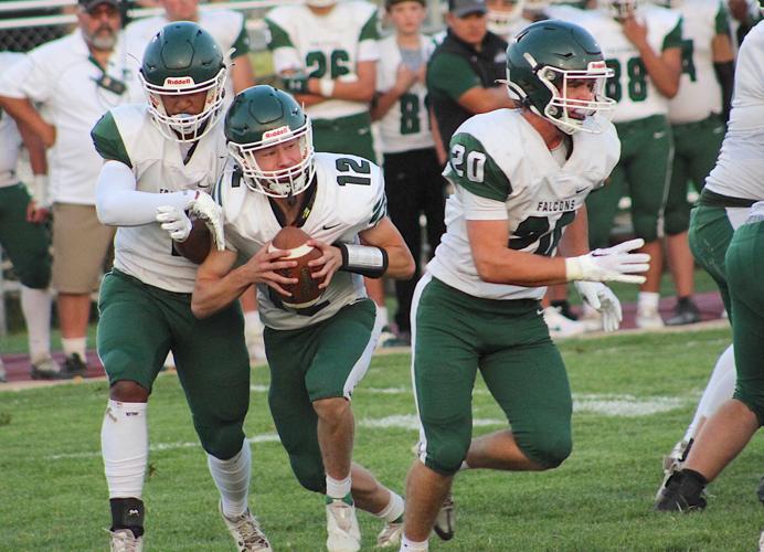 Northfield shuts out Faribault in rivalry game | Sports | southernminn.com