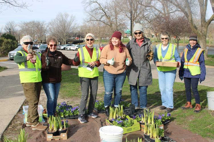 Spring flower planting in Bridge Square signals seasonal transition ...