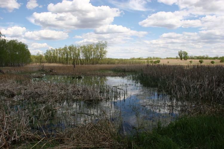 SCENE Daytripper: Connecting with nature in this season of spring ...