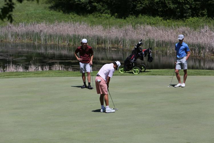 PHOTOS: BA golfers compete at Section 1A meet | Sports | southernminn.com