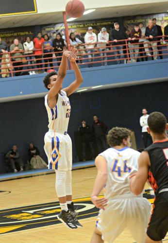 Tigers' athleticism too much for Jays in section final rematch | Sports ...