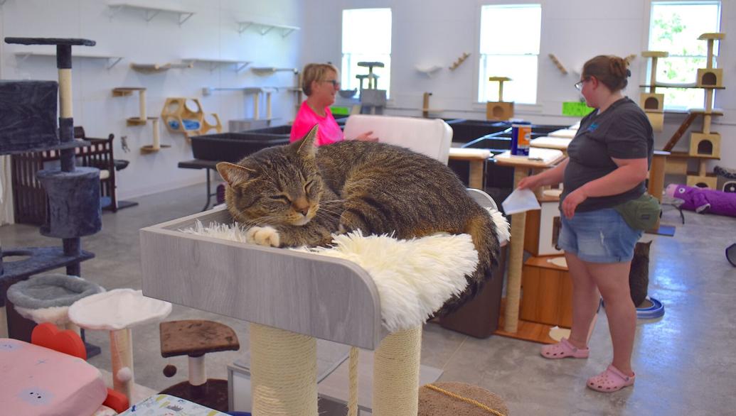Furball Farm residents move into new home | News | southernminn.com