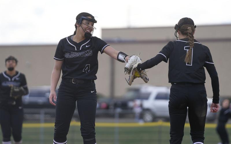 Awesome Blossoms pick up 2 wins over Tigers | Sports | southernminn.com