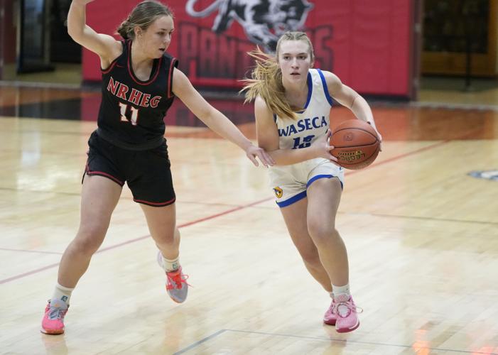 No. 2 NRHEG holds off No. 7 Waseca in Sub-Section quarterfinals ...