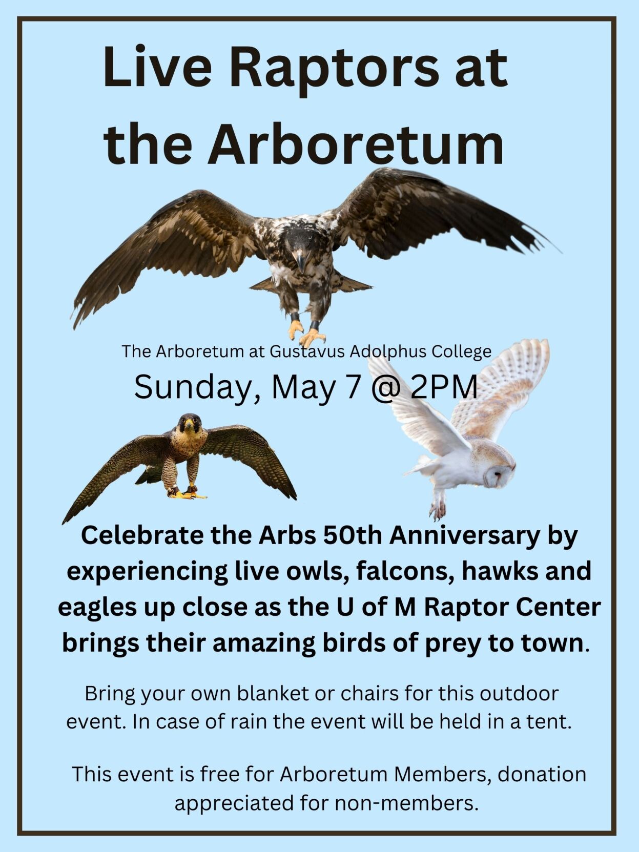 Live Raptors in the Arb | Community | southernminn.com