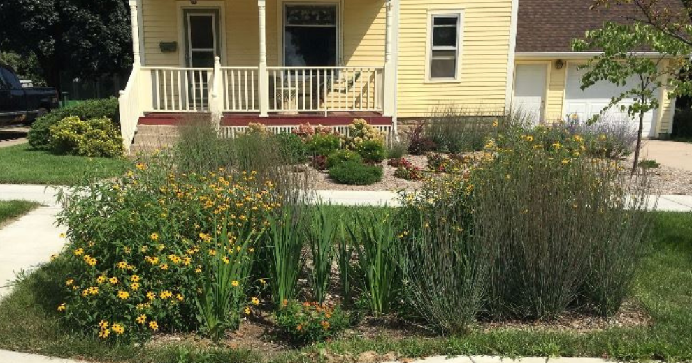 Water-smart landscaping techniques can save lawns, protect the ...