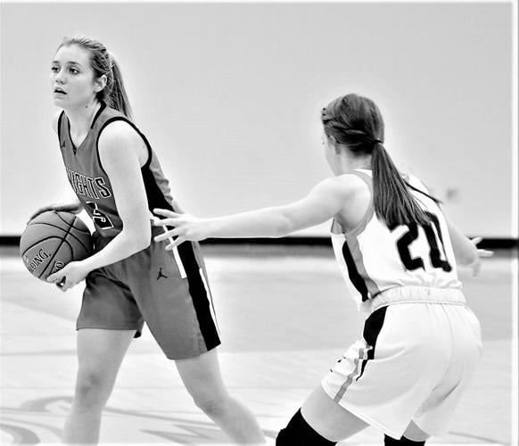 THE GOPHER IS GROWING: Area conference officially adds 4 new schools ...